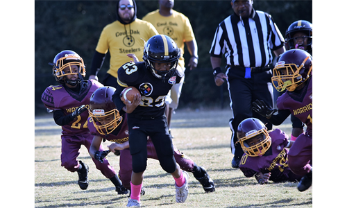 Coul-Oak Steelers > Home